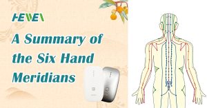 A Summary of the Six Hand Meridians - HeaWea